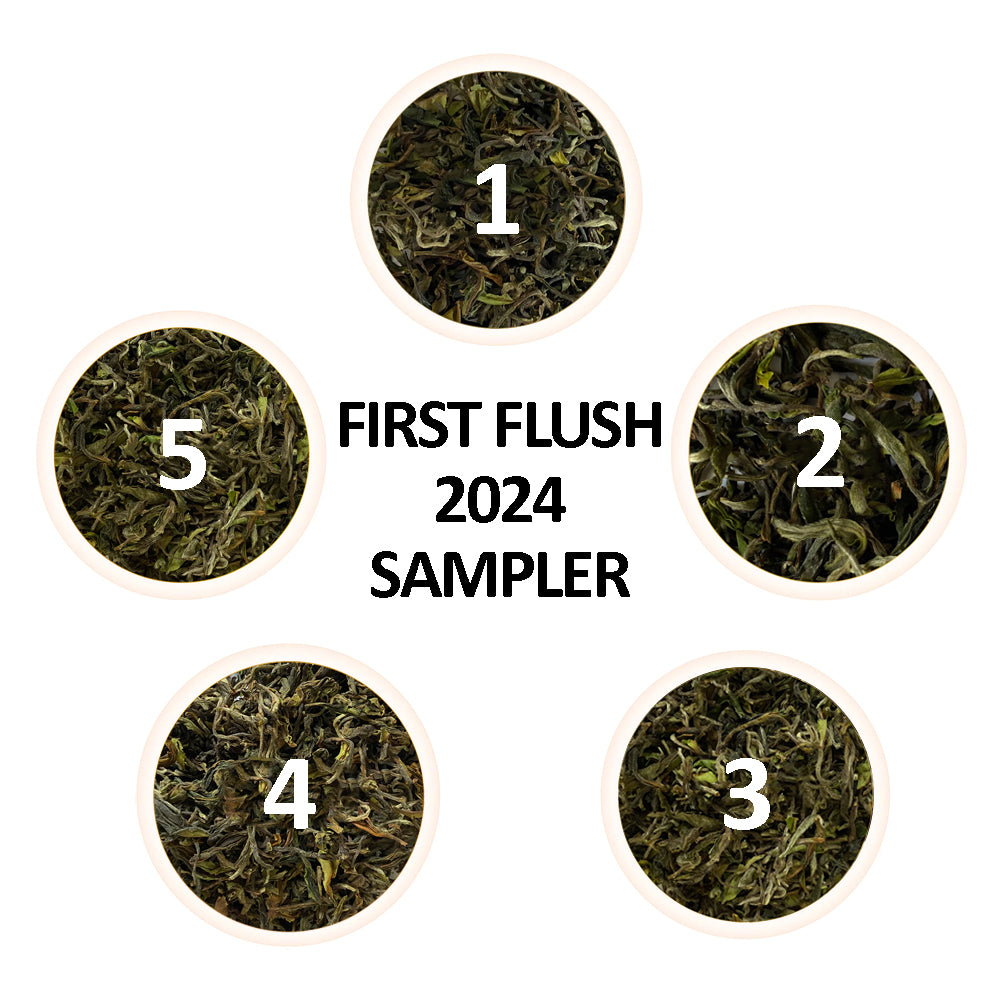 Buy Tea Sampler Pack Online – Golden Tips Tea (India)