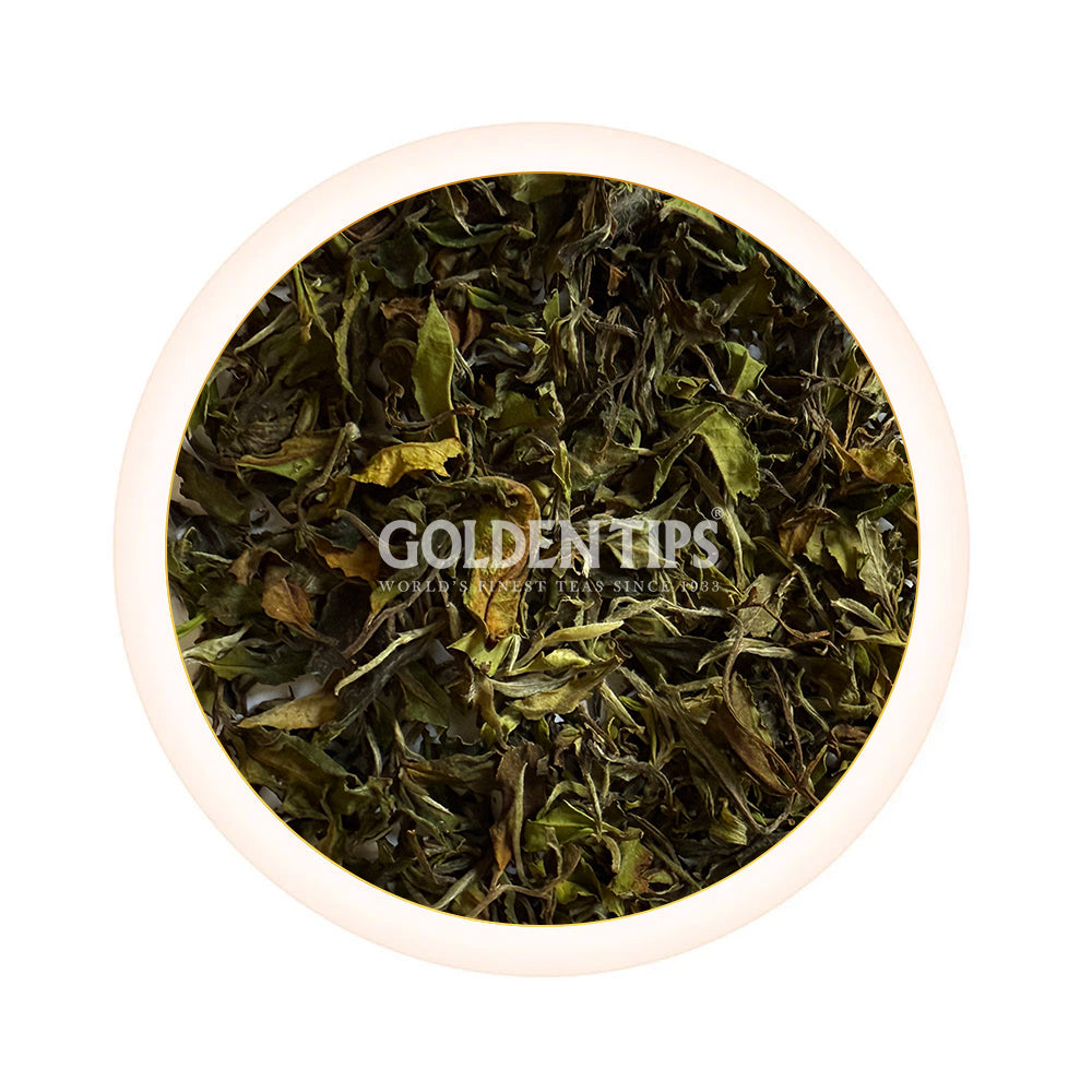 Buy Online Premium Darjeeling Teas 2025 – Golden Tips Tea (India)