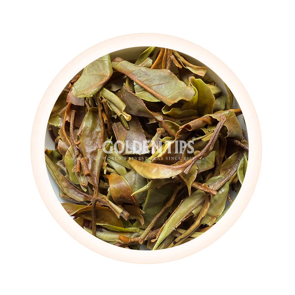 Buy Premium White Tea Online – Golden Tips Tea (India)